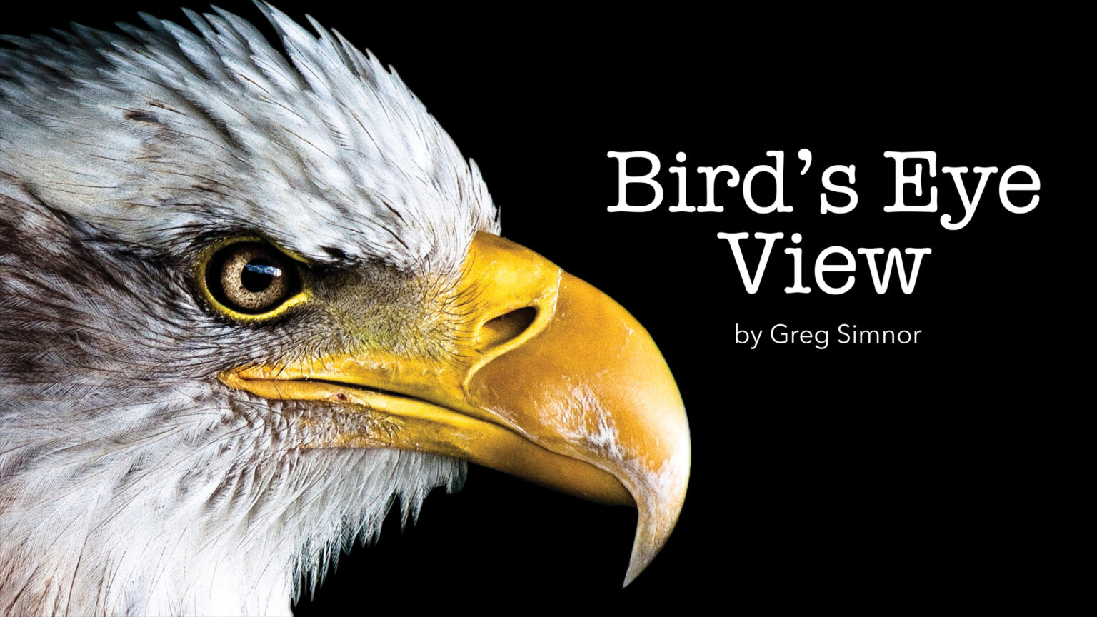 Birds Eye View; Chapter 5 - Revelation is the key to transformation ...